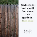 120 Overcoming Sadness Quotes for Inner Resilience | Jonathan M. Pham