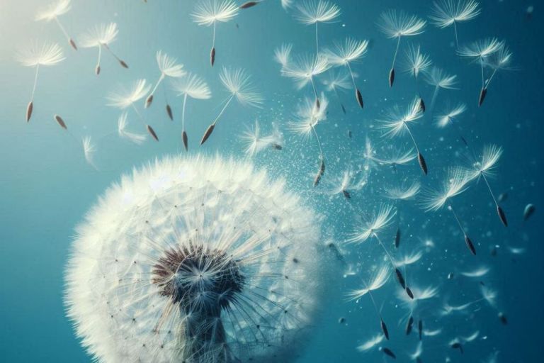 Tình yêu vô điều kiện: Vượt qua mọi giới hạn | Jonathan M. Pham